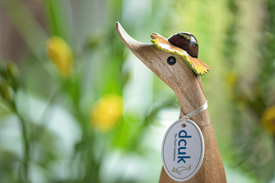 DCUK Sunflower Duckling raises funds for FASD South West