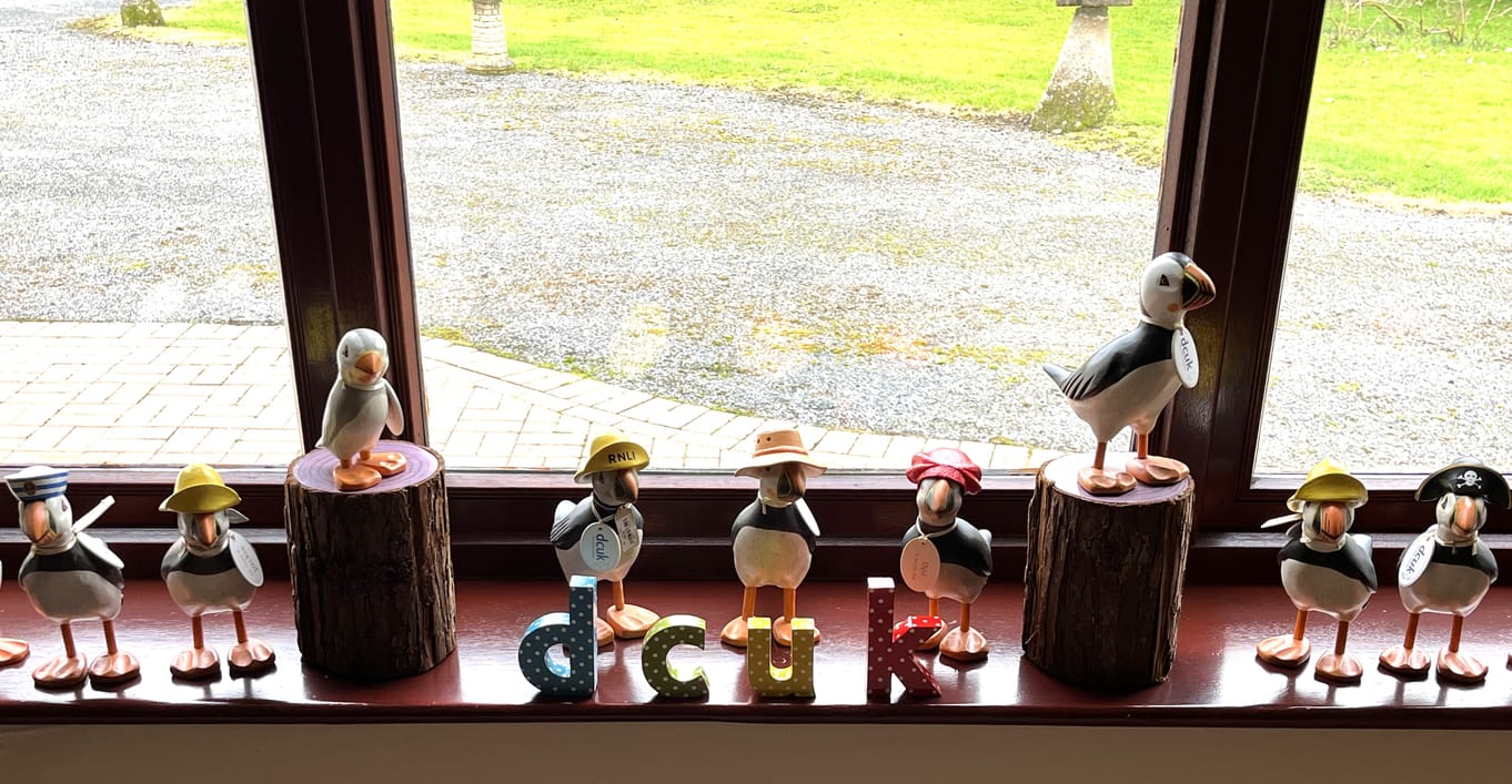 A Flock of His Own: Meet DCUK’s Ultimate Super-Fan